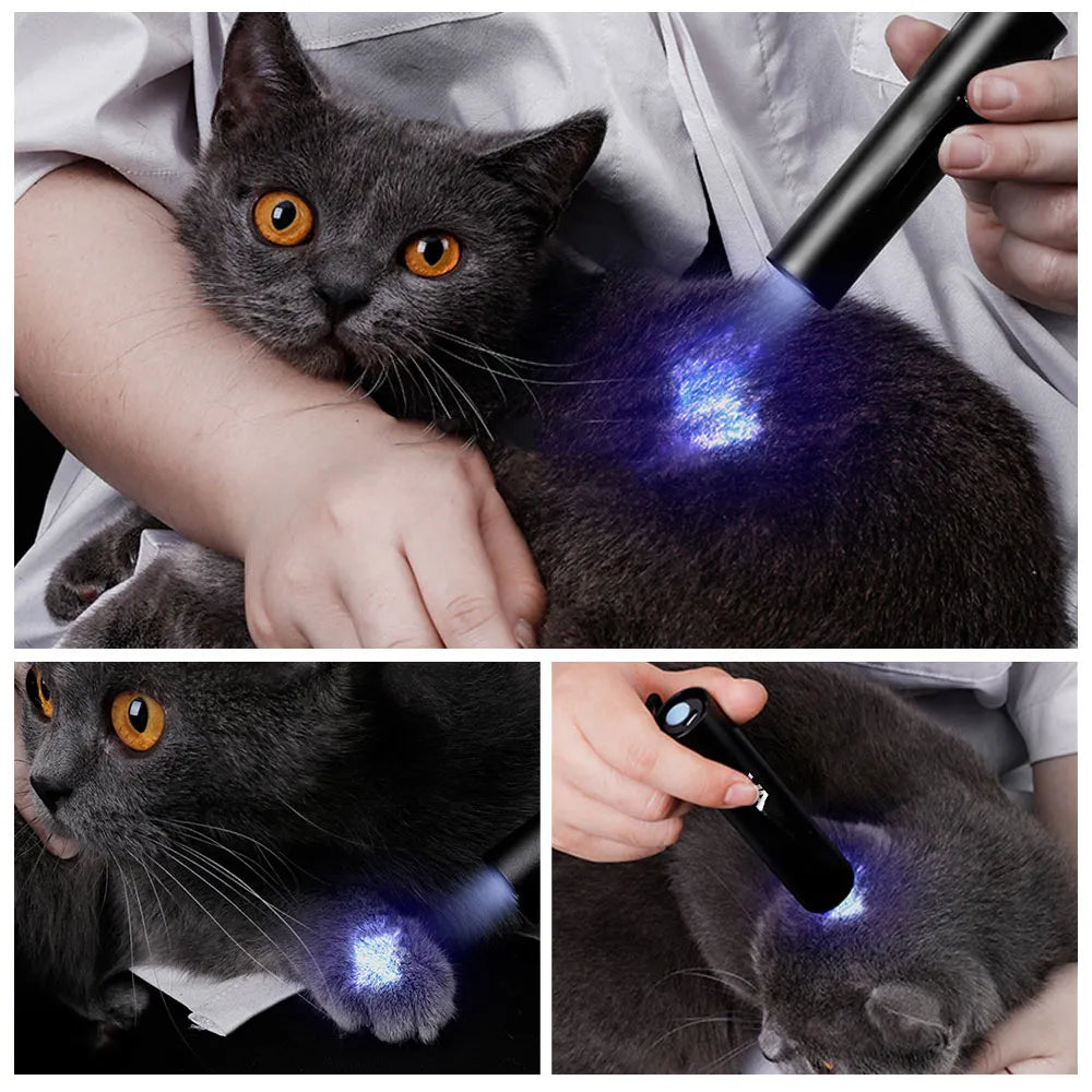 USB Rechargeable 365nm ultraviolet flashlight Cat moss fungus detectio