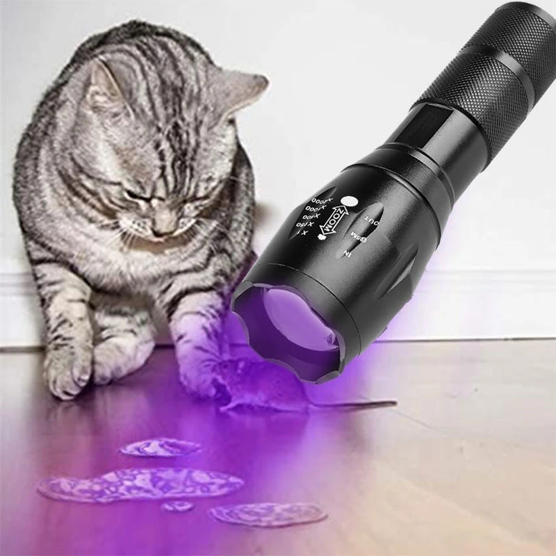 UV Flashlight Purple White Dual Light 395nm Ultraviolet Torch Zoom Fla